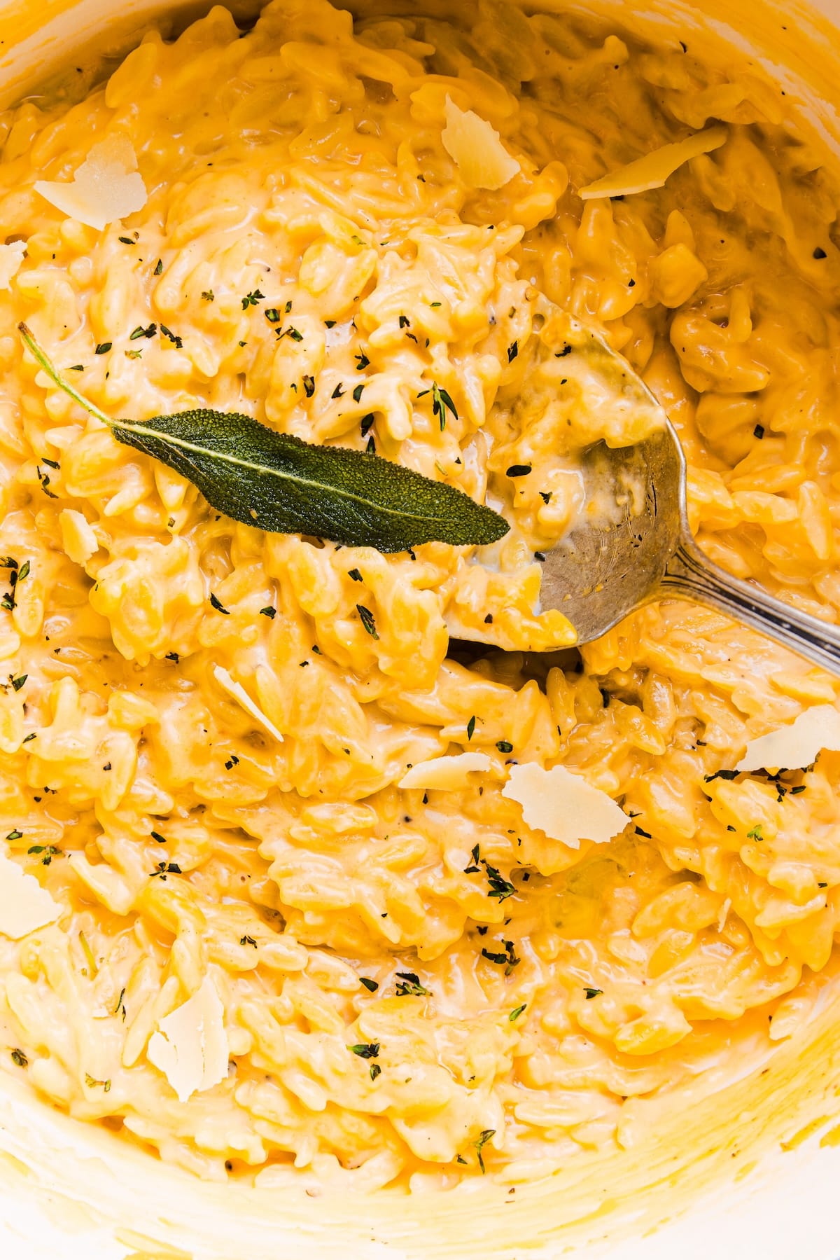 One-Pot Cheesy Orzo