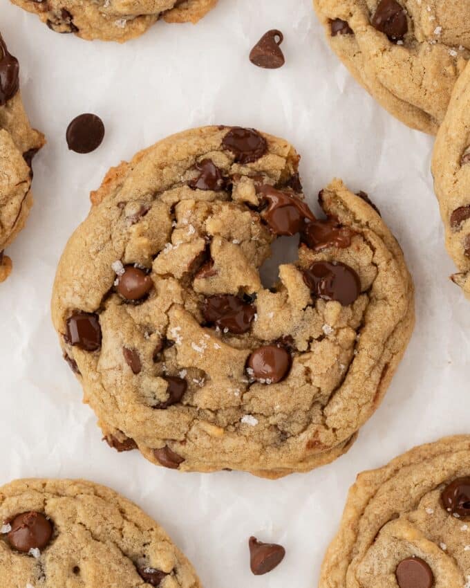 Browse Recipes – Real Life Nutritionist